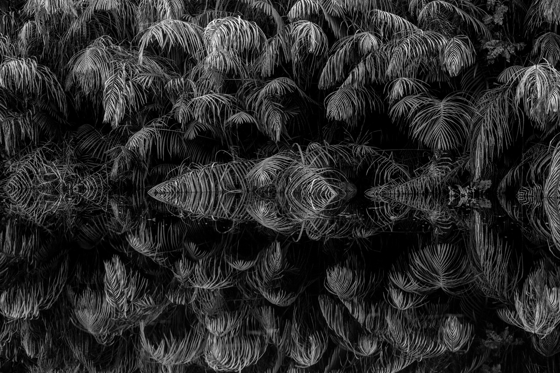 Atelie Rogério Assis – Rogério Assis Fotografia